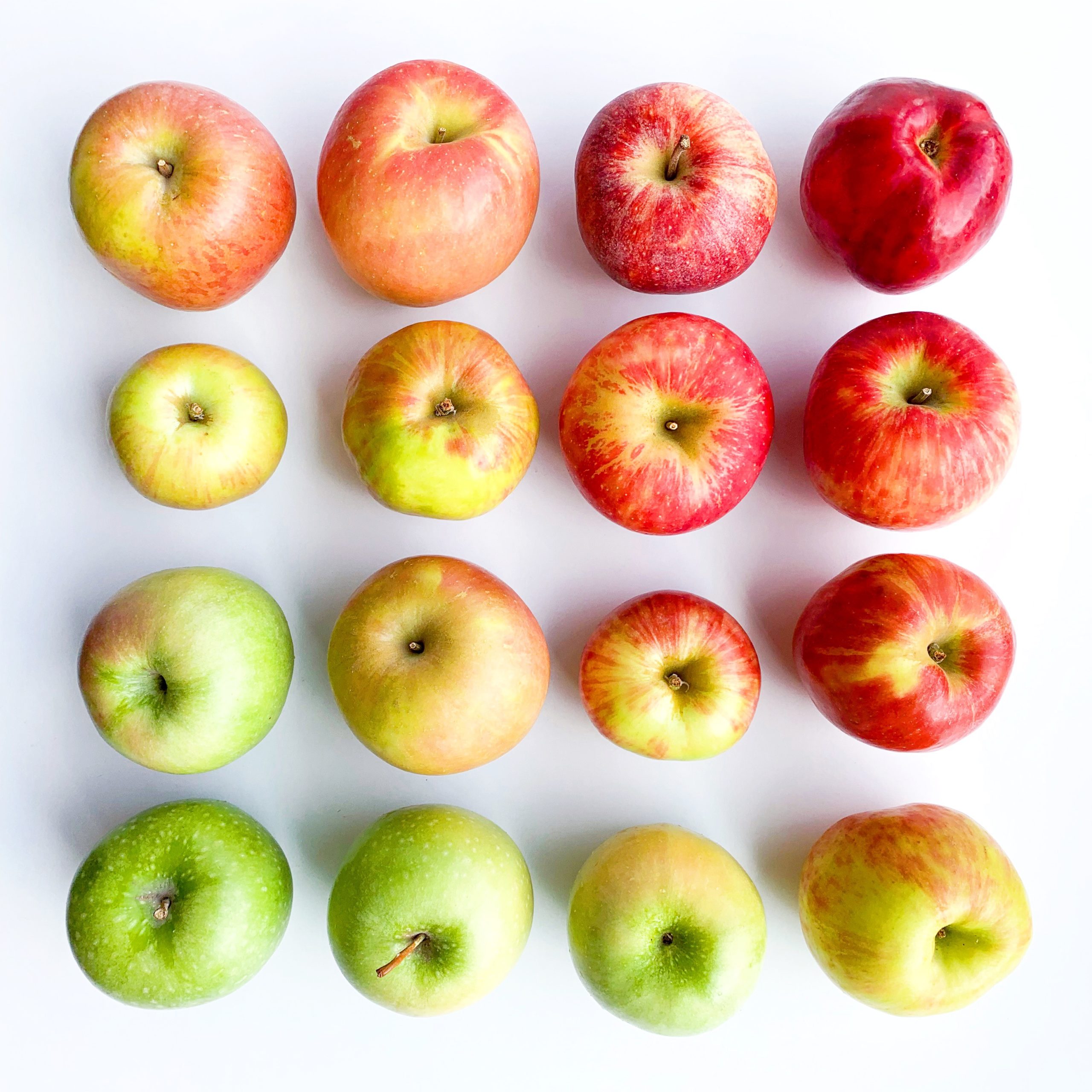 How to Core an Apple | Basics